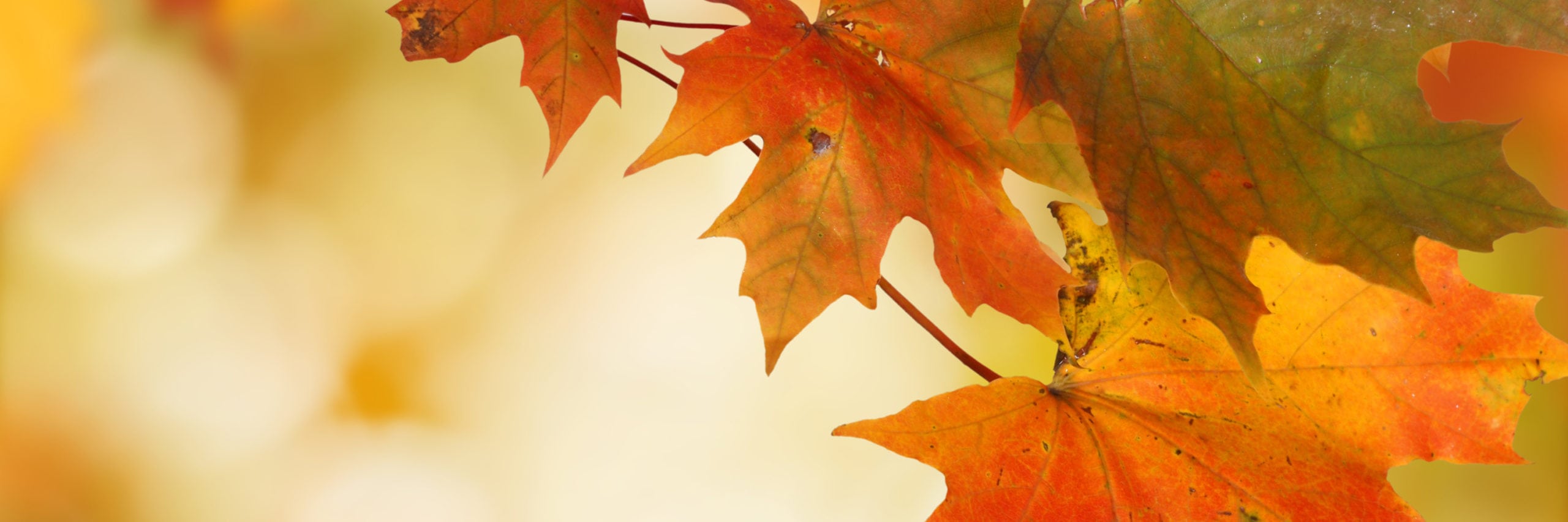 3 Ways to Prep Your Furnace for Fall